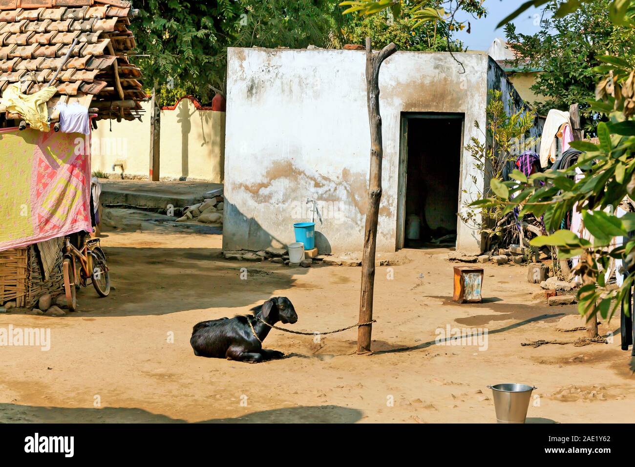 Tied to a pole hi-res stock photography and images - Alamy