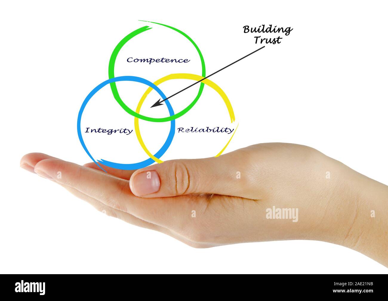 Building expert Cut Out Stock Images & Pictures - Alamy