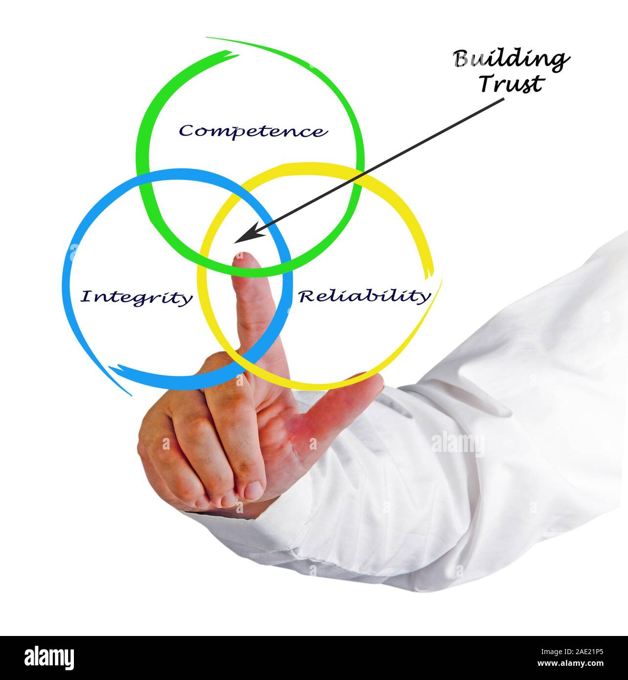 Building expert Cut Out Stock Images & Pictures - Alamy