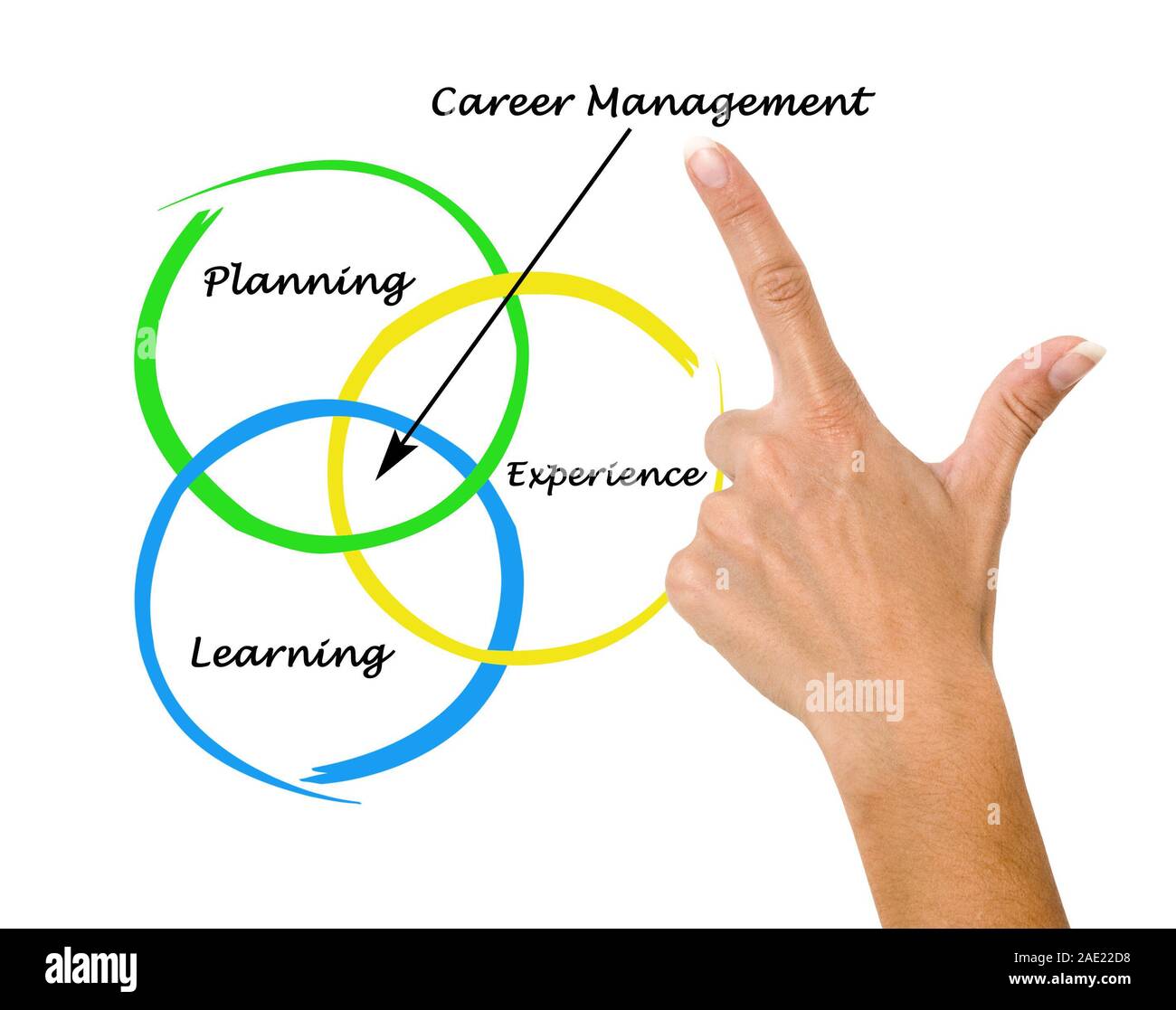 Diagram of career management Stock Photo - Alamy