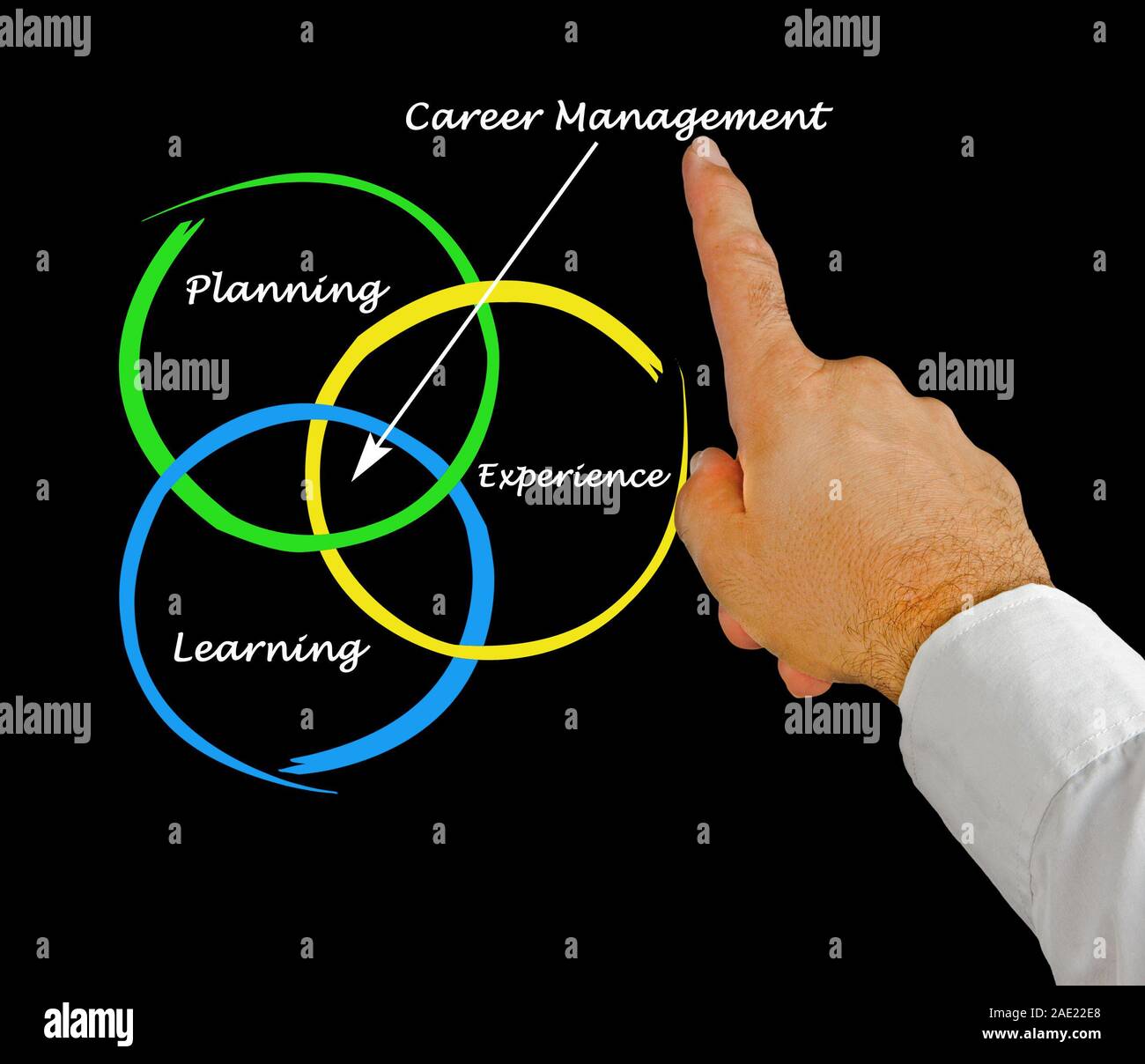 Diagram of career management Stock Photo - Alamy