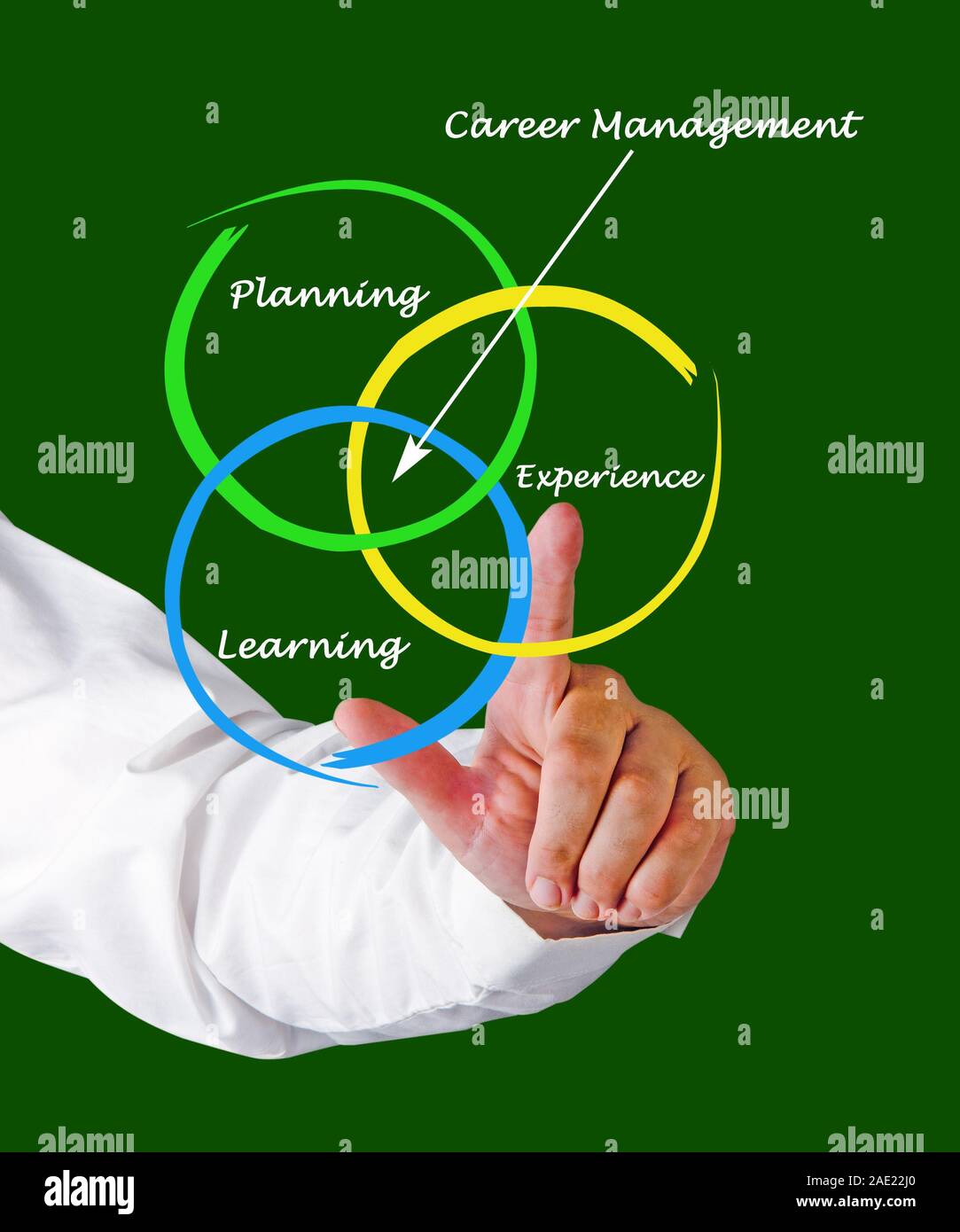 Diagram of career management Stock Photo - Alamy