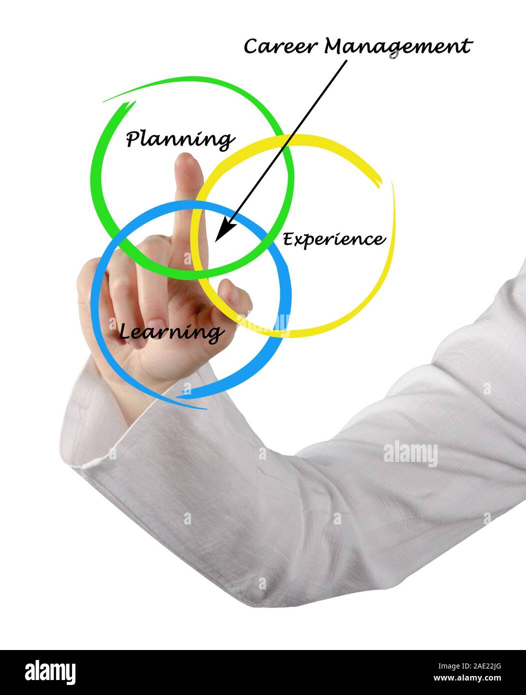 Diagram of career management Stock Photo - Alamy