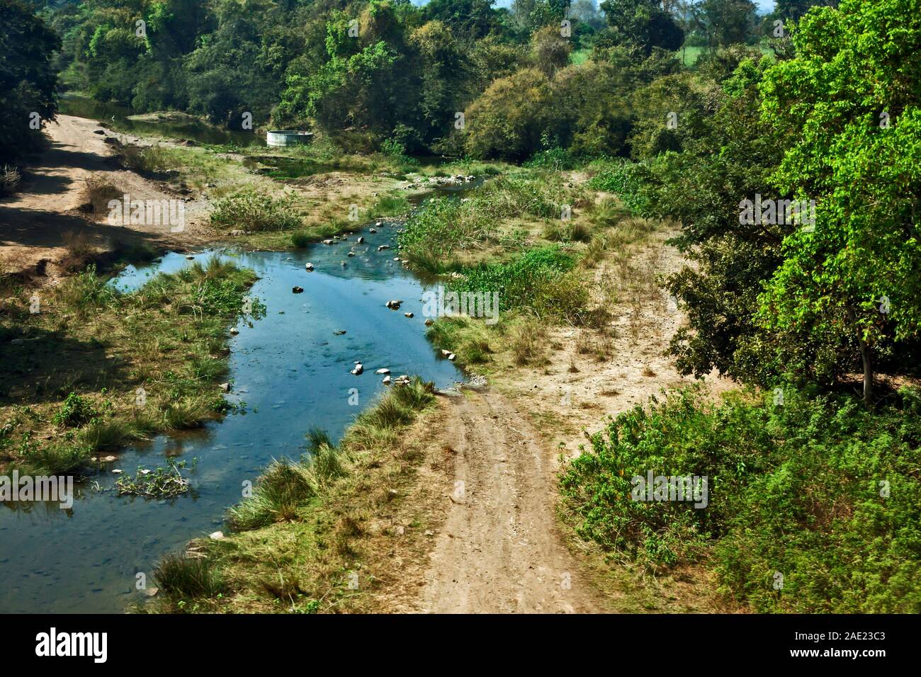 Rivulet, Rural landscape, Ratnagiri, Konkan, Maharashtra, India, Asia ...