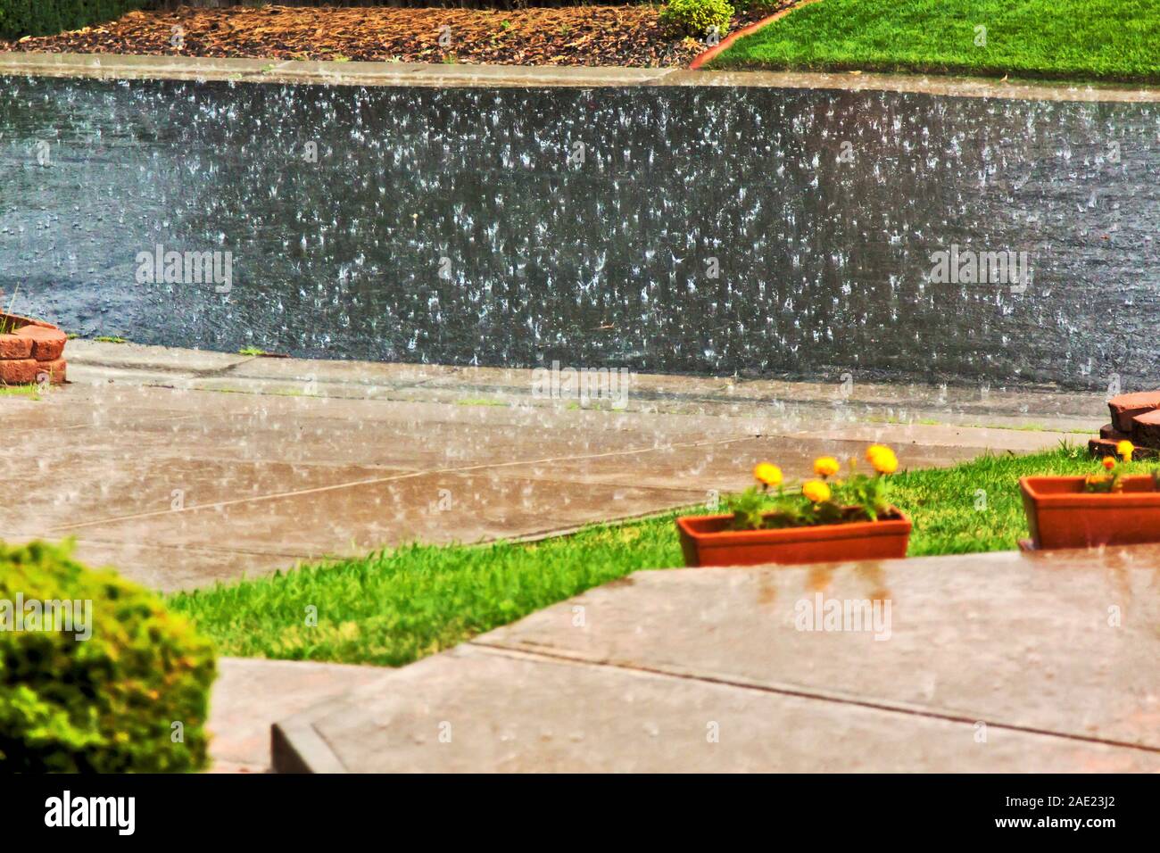 Rain water swimming pools hi-res stock photography and images - Alamy