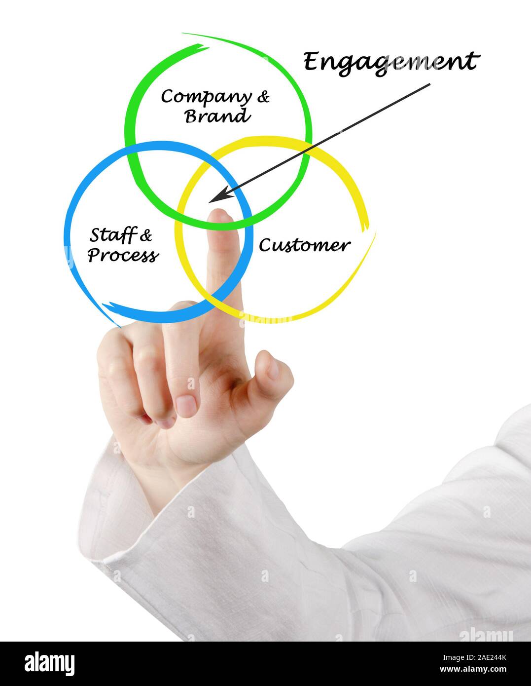 Diagram of engagement Stock Photo - Alamy