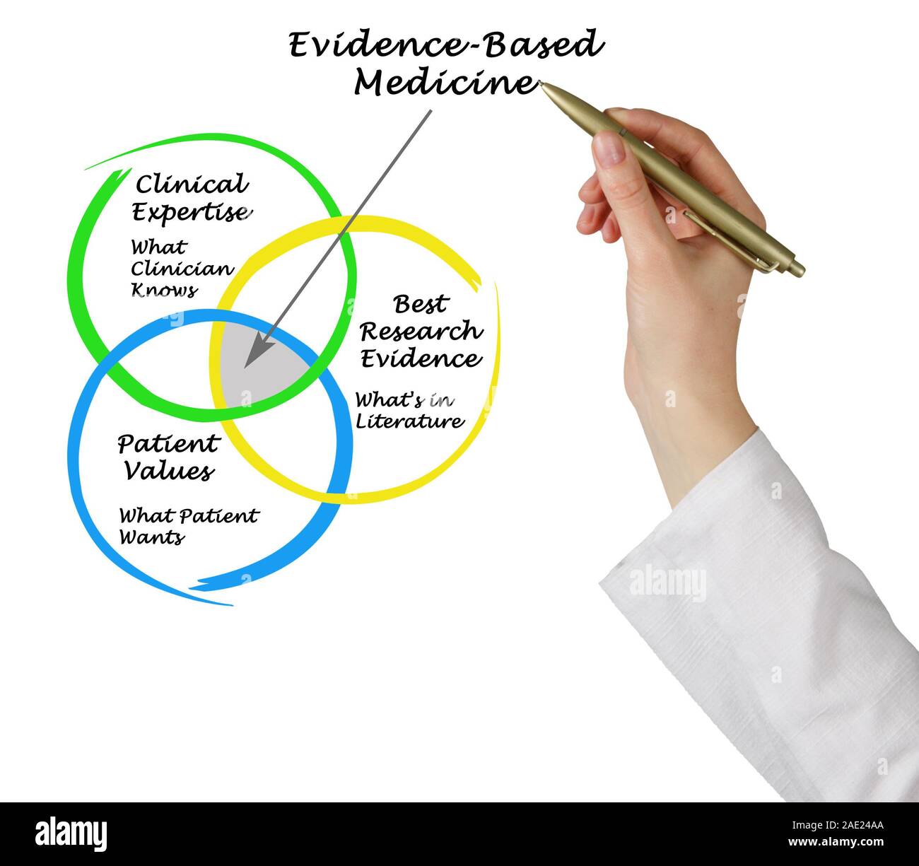 Diagram of EBP Stock Photo - Alamy Diagram of EBP Stock Photo - Alamy