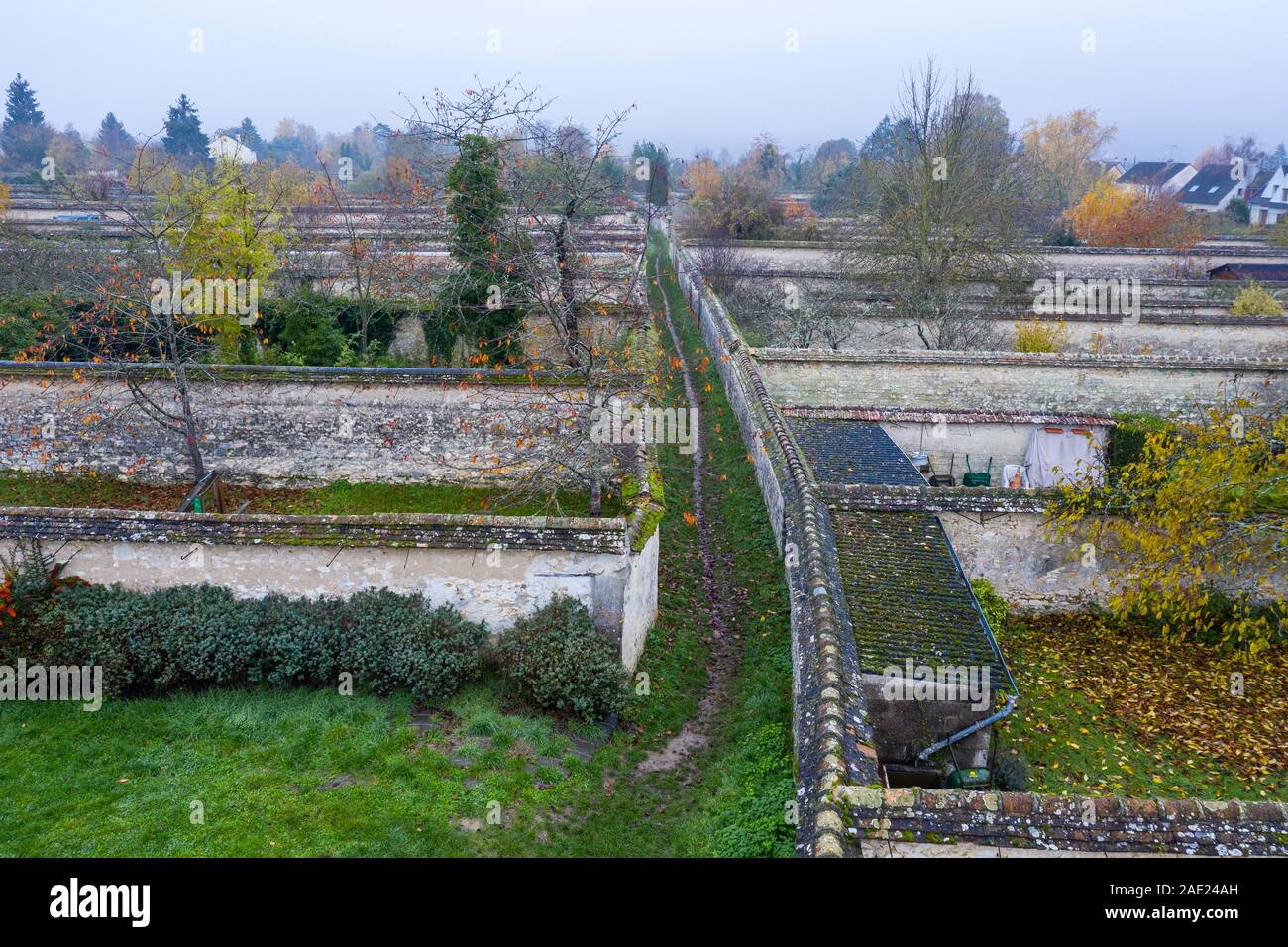France, Seine et Marne, Thomery, remains of the walls for the ...
