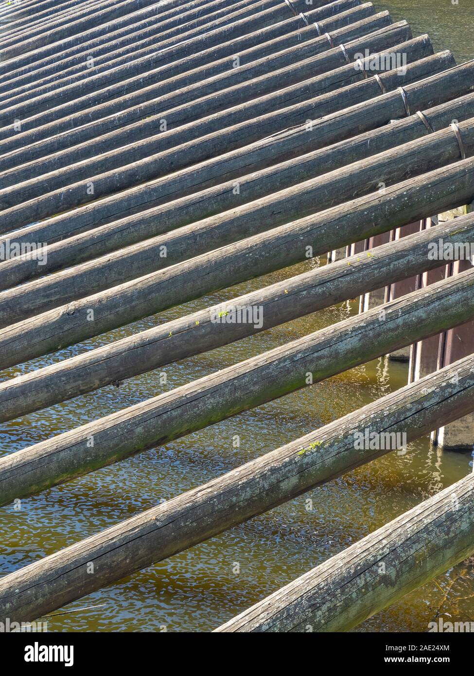 Log barrier hi-res stock photography and images - Alamy