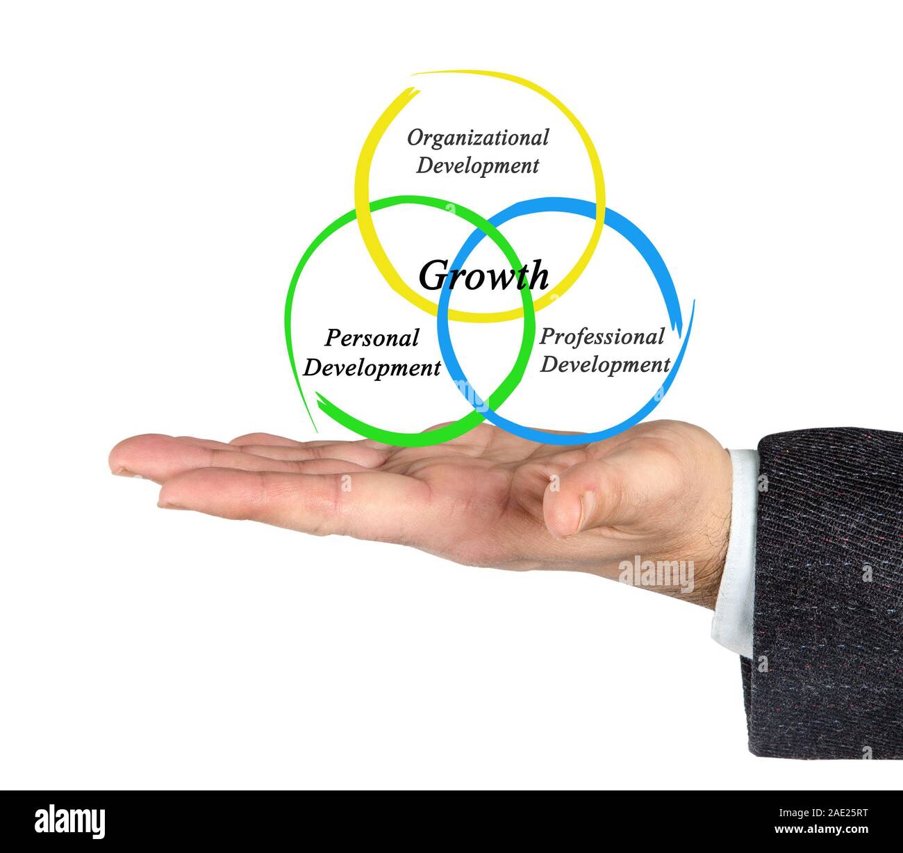 Diagram of Business growth Stock Photo - Alamy