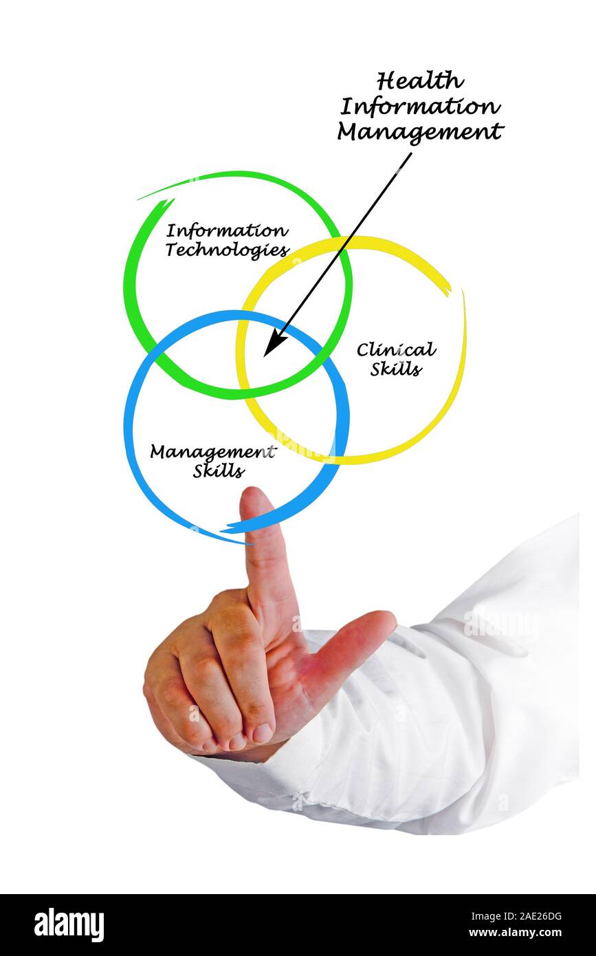 Hospital management Cut Out Stock Images & Pictures - Alamy