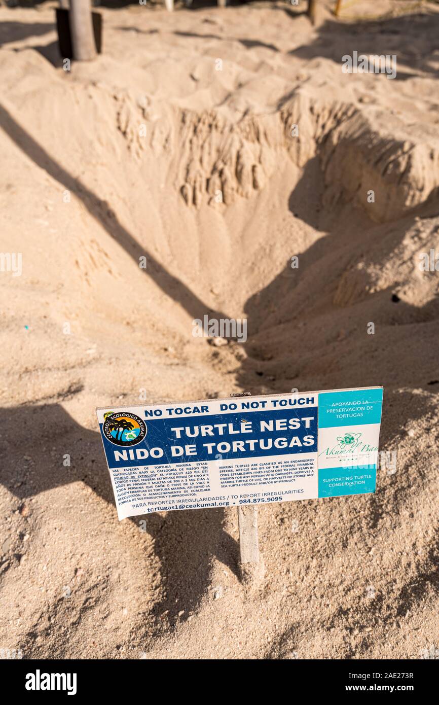 Warning sign turtle nest hi-res stock photography and images - Alamy