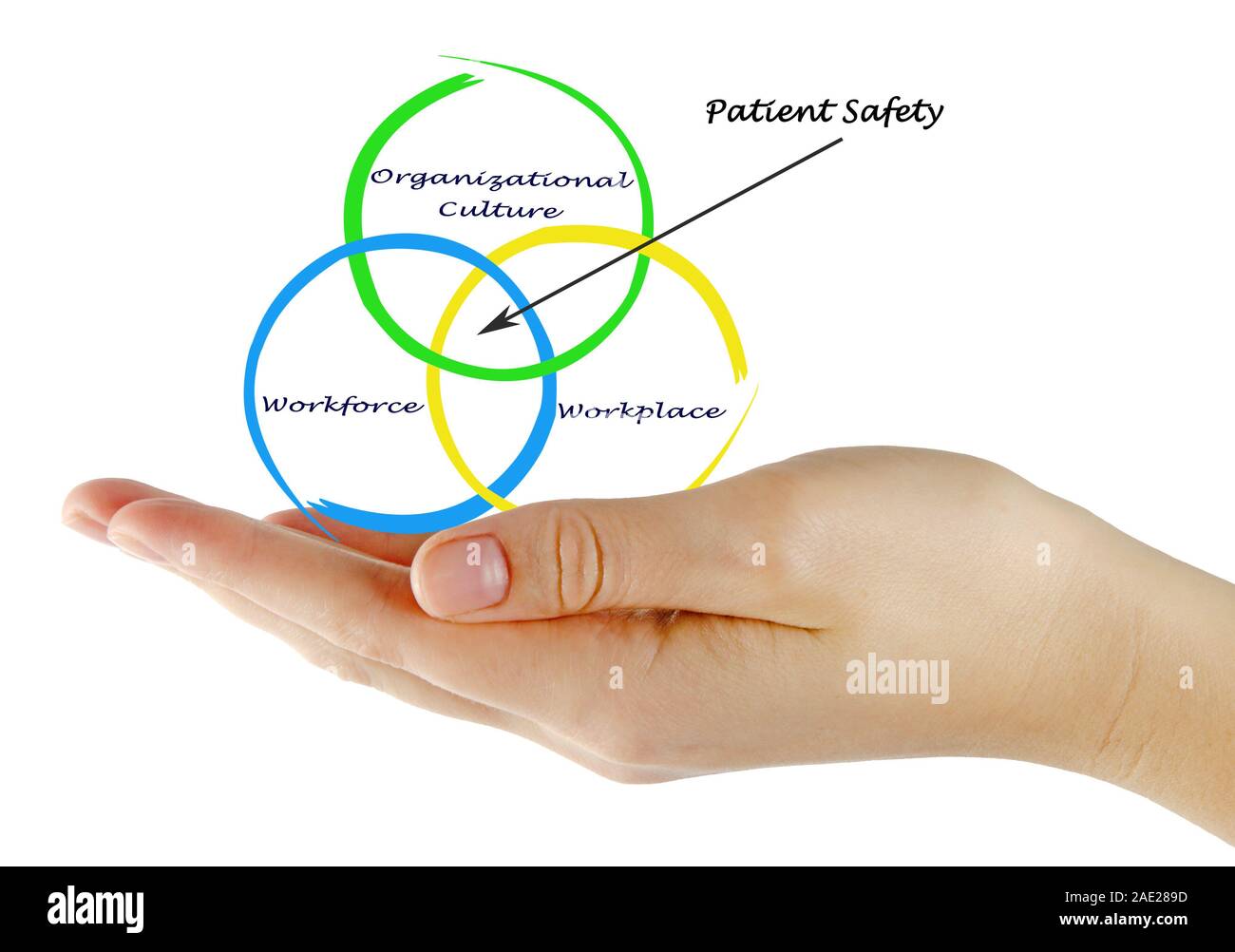 Diagram of patient safety Stock Photo - Alamy