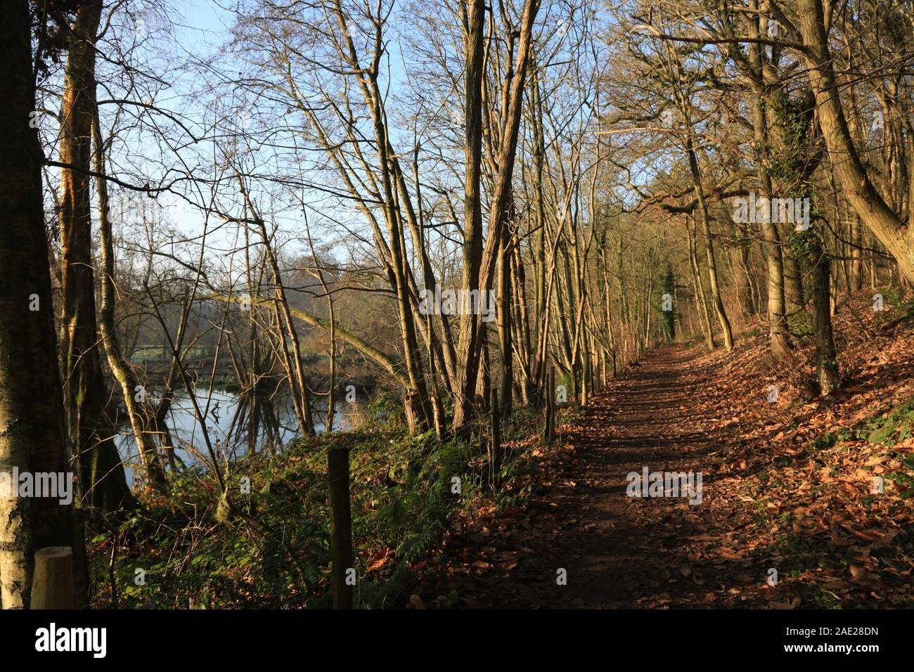 Hurcott wood hi-res stock photography and images - Alamy