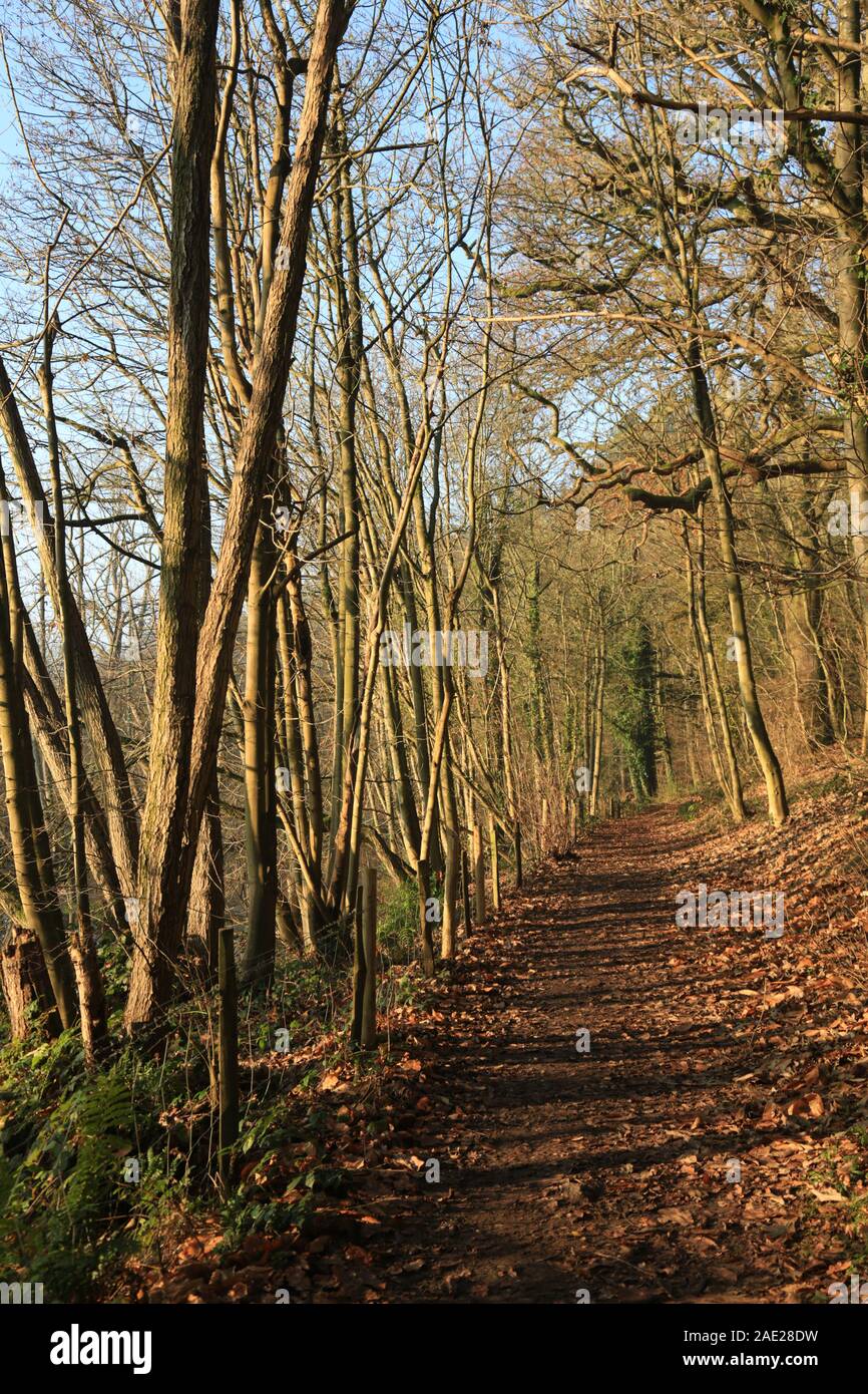 Hurcott wood hi-res stock photography and images - Alamy