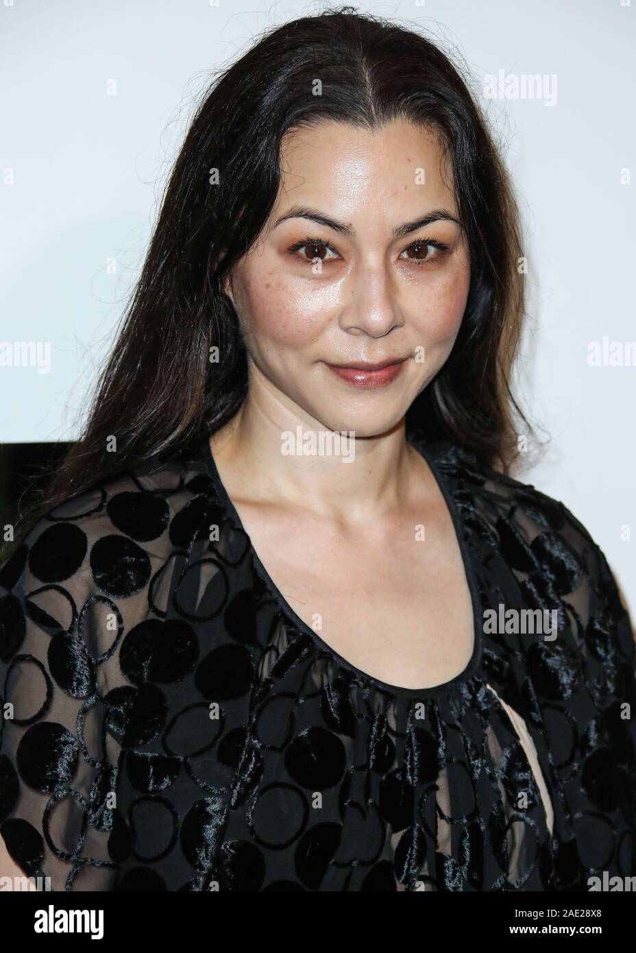 China Chow Wallpaper