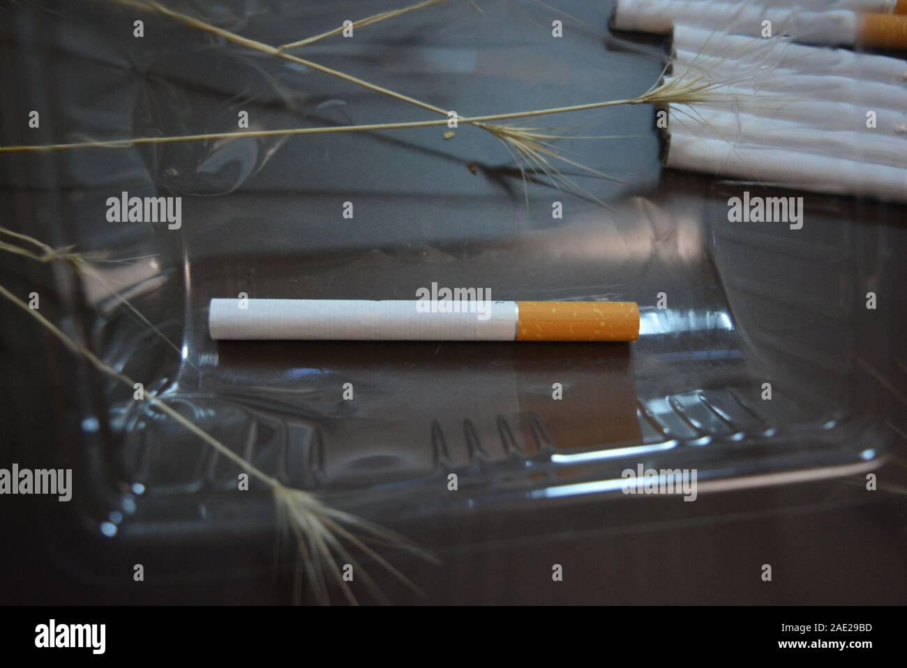 One cigarette lie in plastic packaging Stock Photo - Alamy