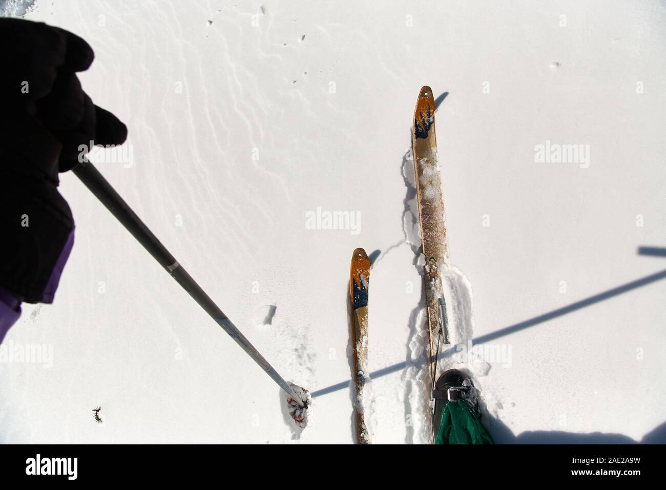 wide forest skis in the hike. winter ski tour and tourism skiing Stock ...