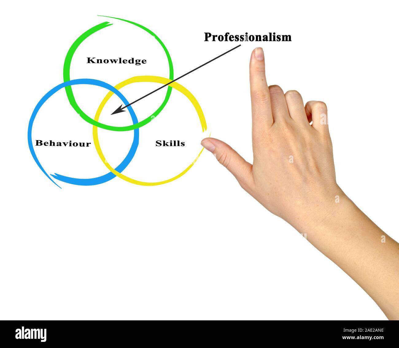 Components of Professionalism Stock Photo - Alamy