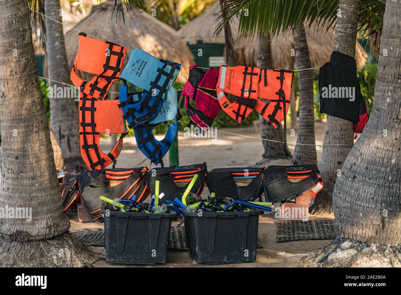 Life jackets hanging up to dry between palm trees on the beach at ...