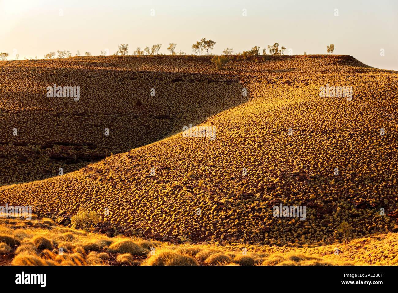 Chichester Ranges High Resolution Stock Photography and Images - Alamy