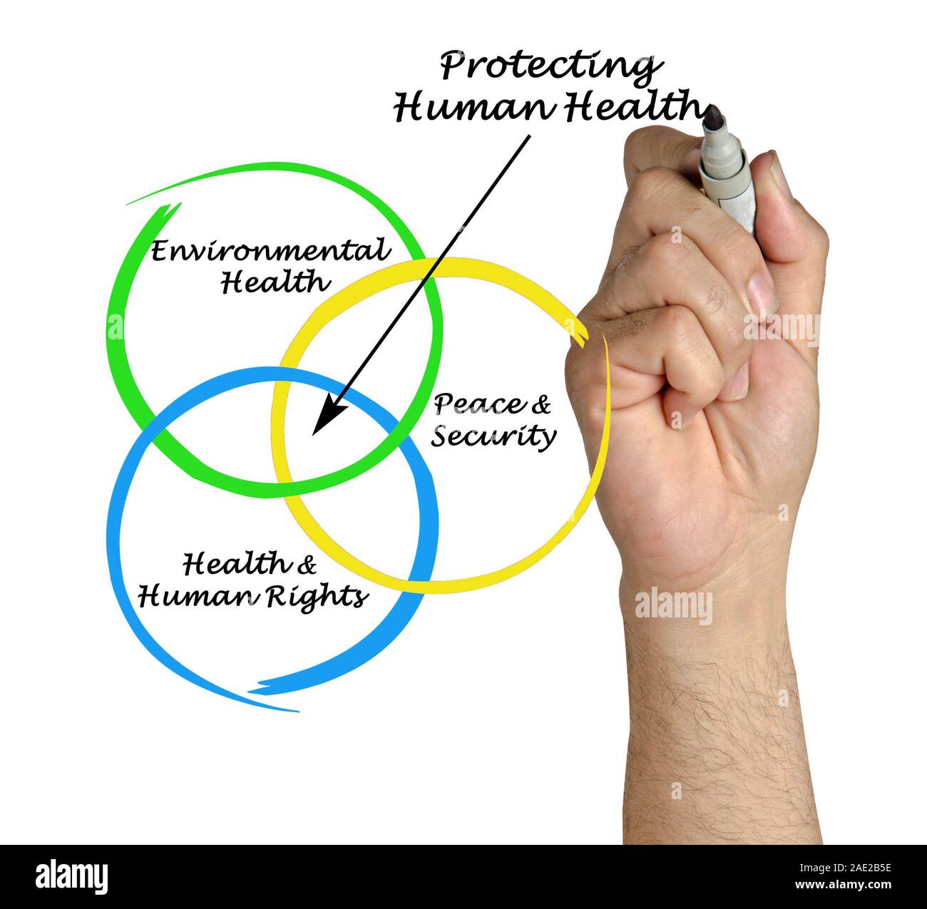 Diagram of protecting Human Health Stock Photo - Alamy