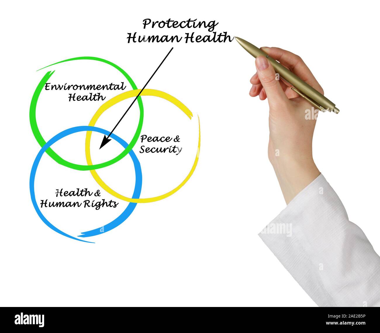 Diagram of protecting Human Health Stock Photo - Alamy