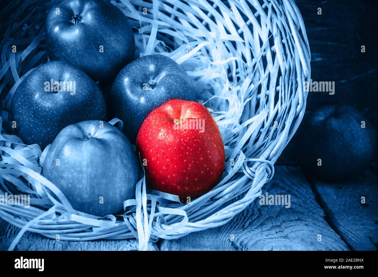 Group of apples colored in blue trendy color Stock Photo - Alamy