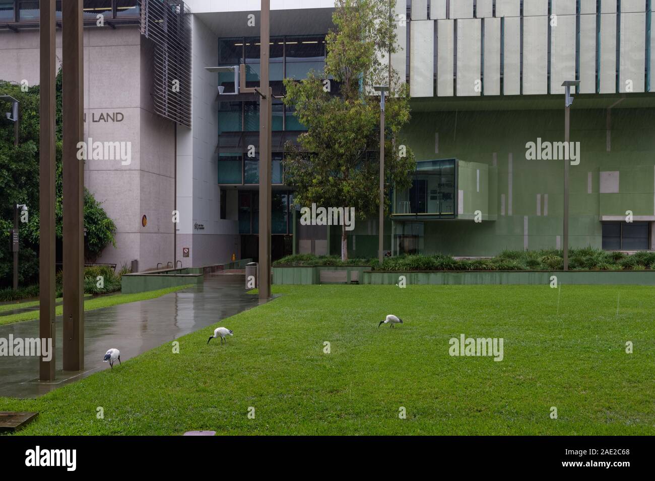 Buildings and streets of Brisbane, QLD, Australia Stock Photo - Alamy