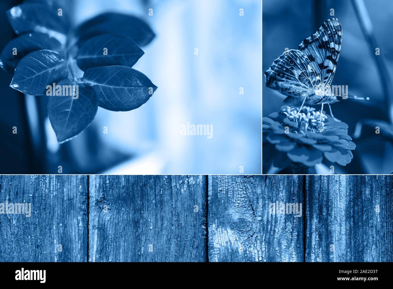 collage of blue photo Stock Photo - Alamy