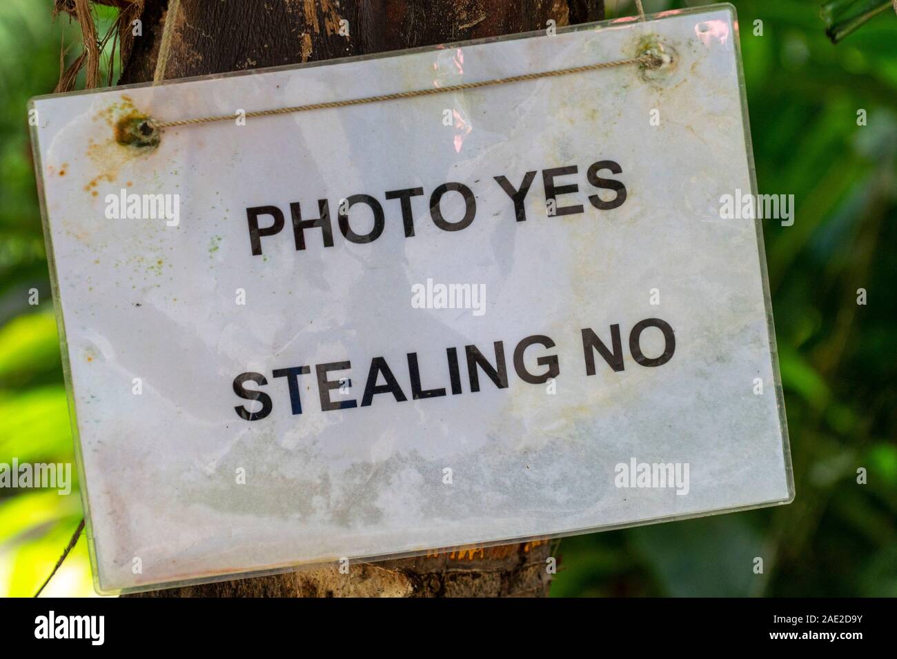 No Stealing Signs