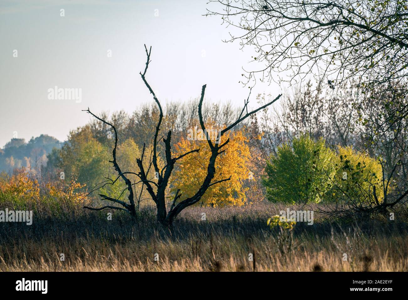 Sad landscape hi-res stock photography and images - Alamy