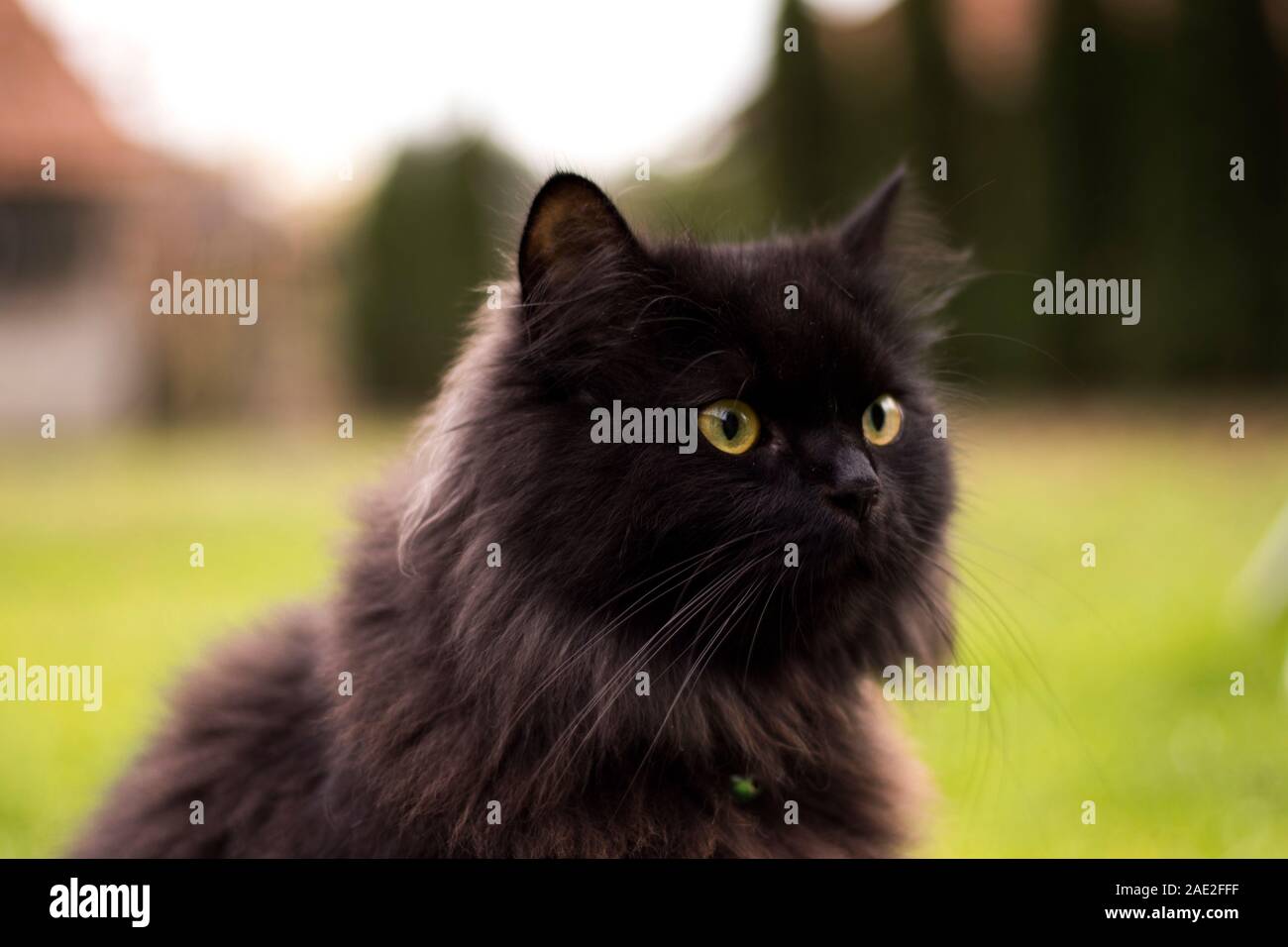 My little friend Stock Photo - Alamy