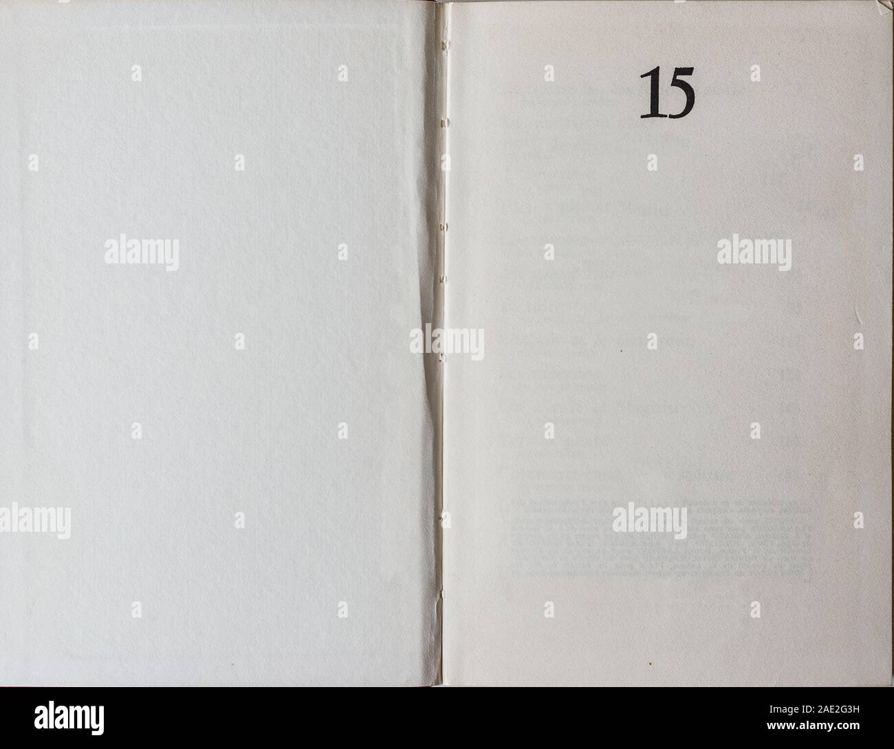 Book unfolded on the Endpaper, showing textured paper inside with the ...