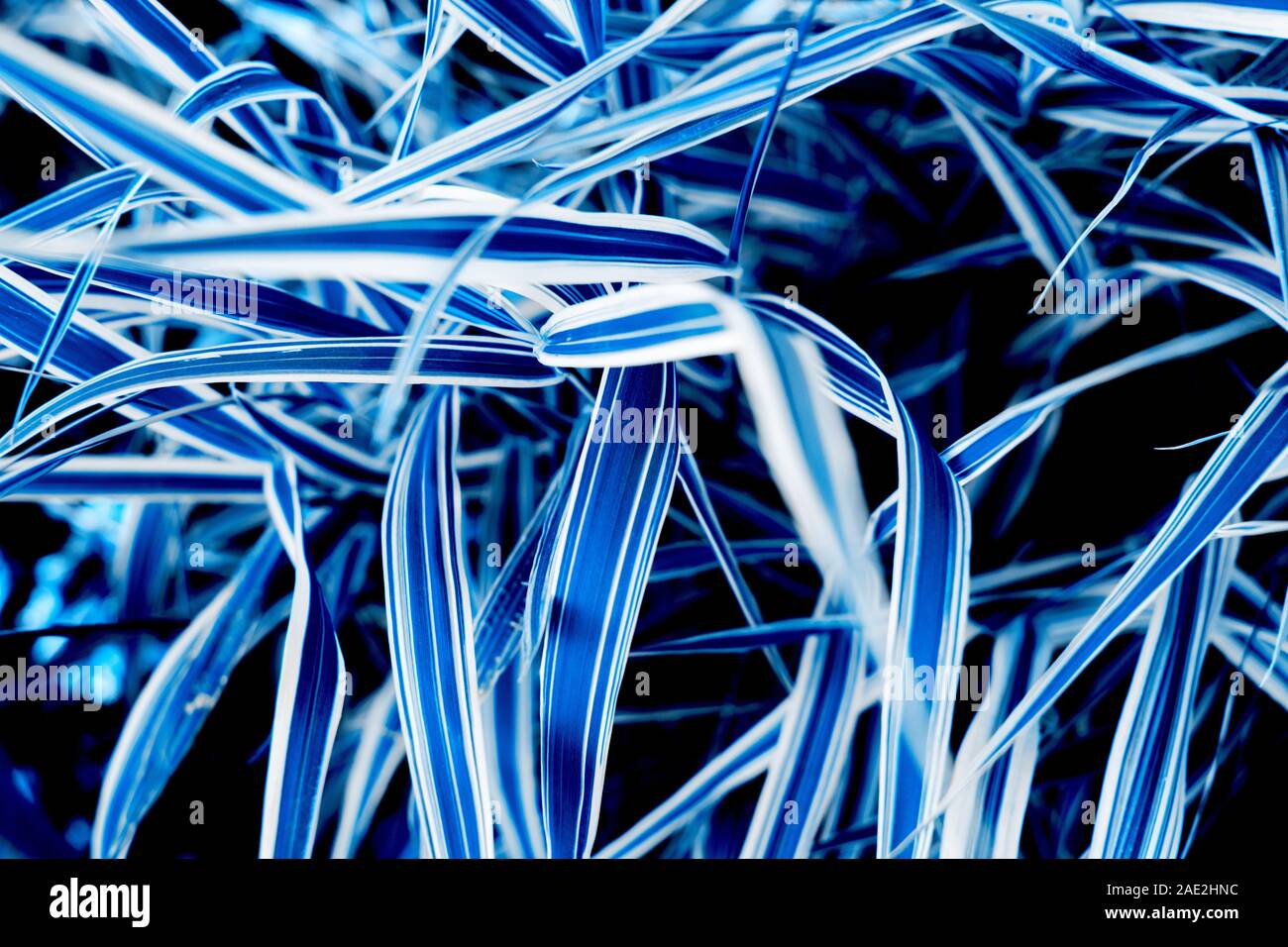 Blue stipe background hi-res stock photography and images - Alamy