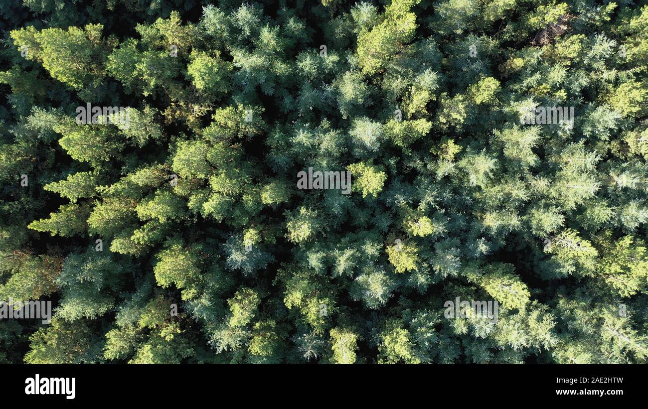Flying over looking down forest hi-res stock photography and images - Alamy