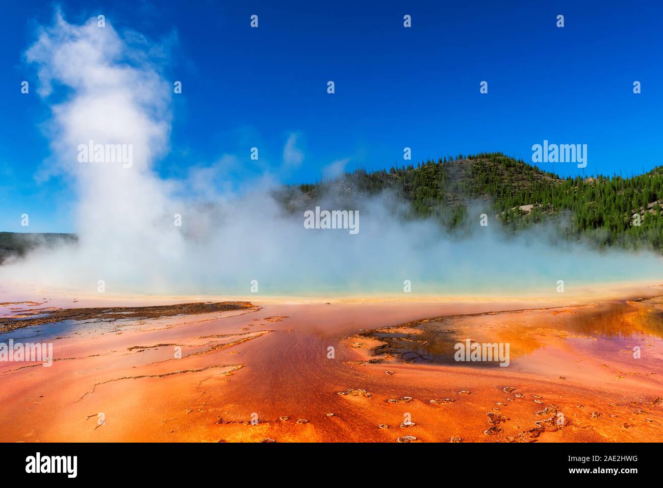 Grand prismatic spring close up hi-res stock photography and images - Alamy