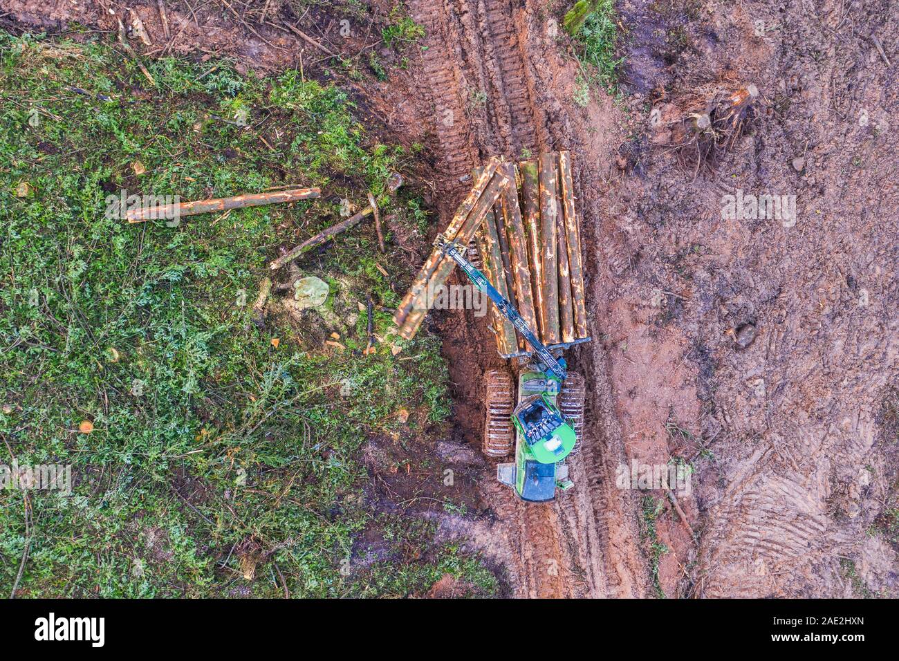 Rainforest deforestation aerial view hi-res stock photography and ...