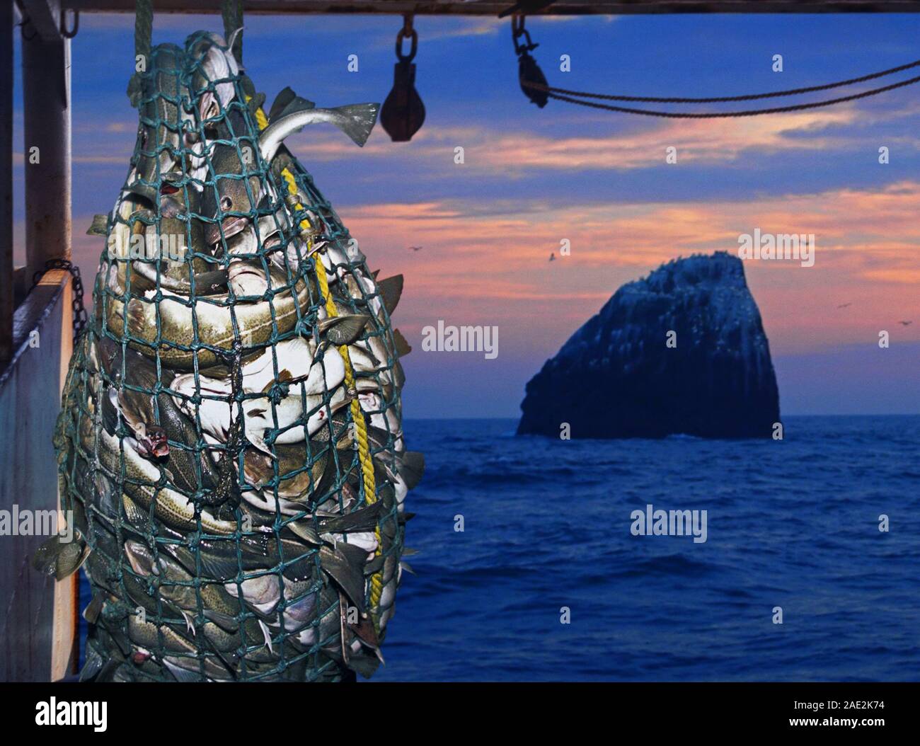 Reef Pinnacles High Resolution Stock Photography and Images - Alamy