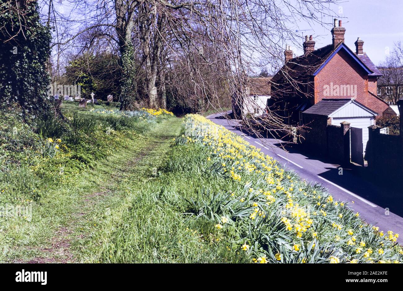 1977 Britain High Resolution Stock Photography and Images - Alamy