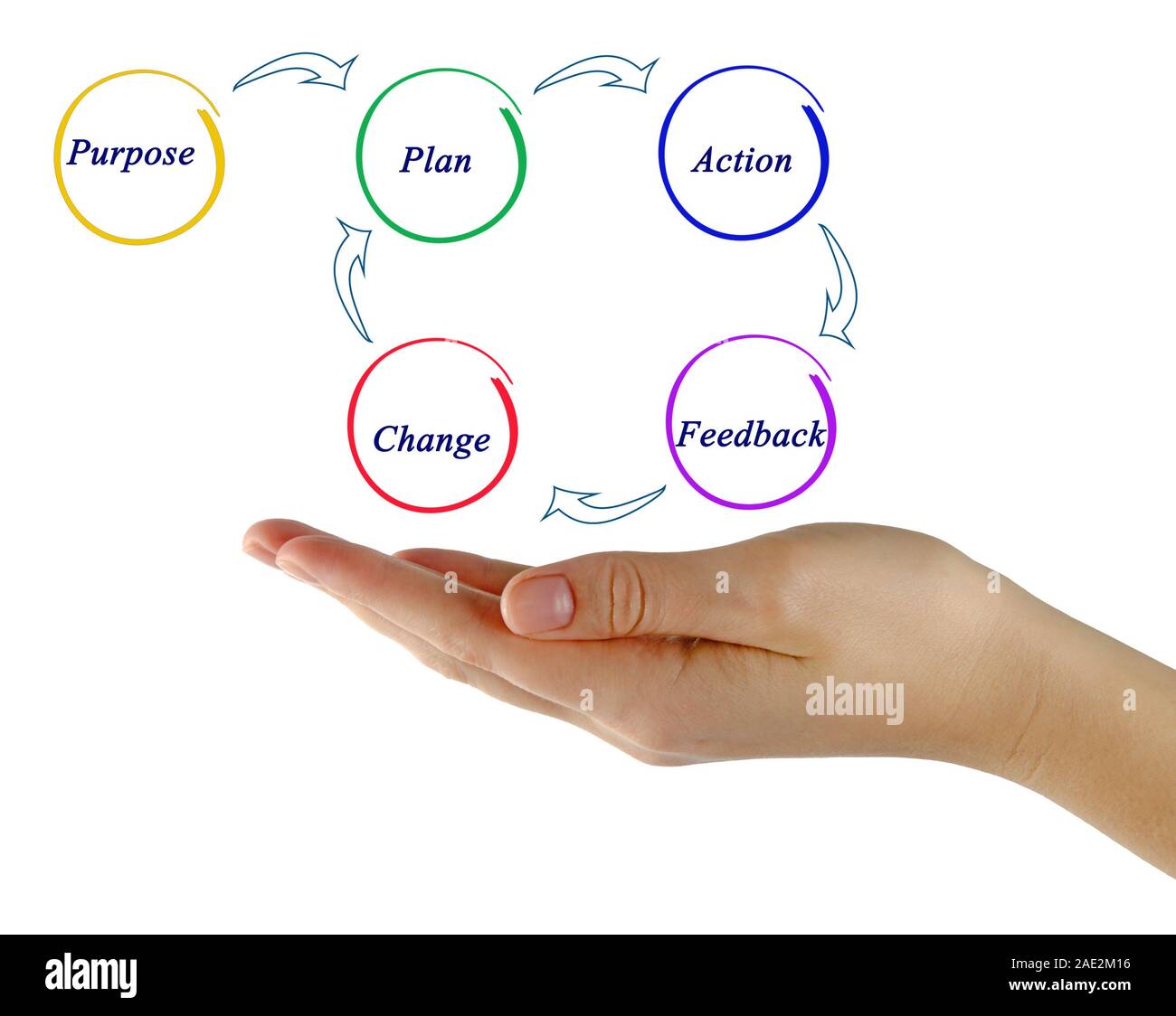 278 Cut Out Stock Images & Pictures - Alamy