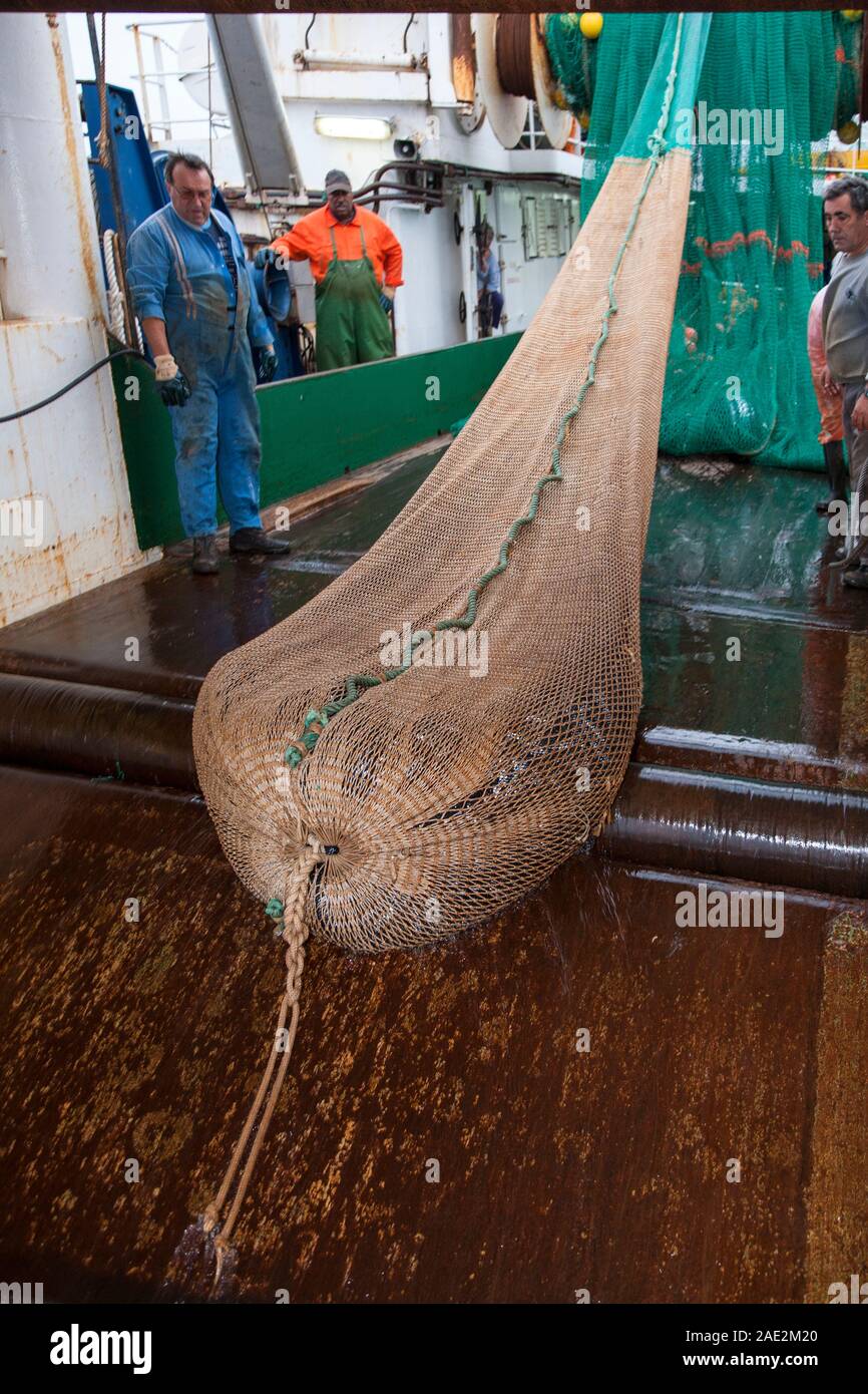 Fish Net Trawler Catch High Resolution Stock Photography and Images - Alamy
