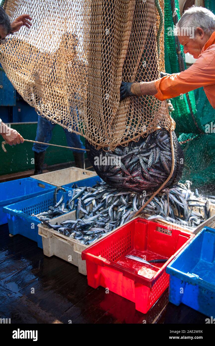 Fish Net Trawler Catch High Resolution Stock Photography and Images - Alamy