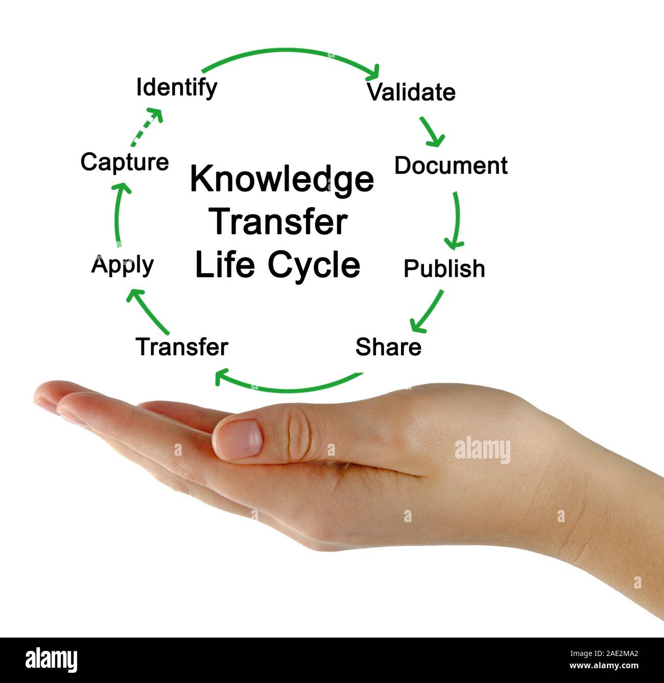 Knowledge Transfer Life Cycle Stock Photo - Alamy