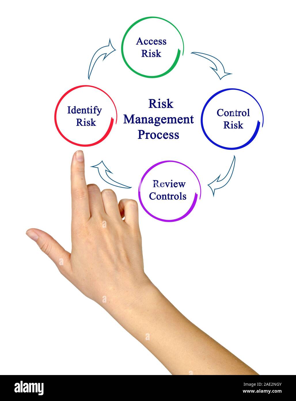 Financial Risk Management Process
