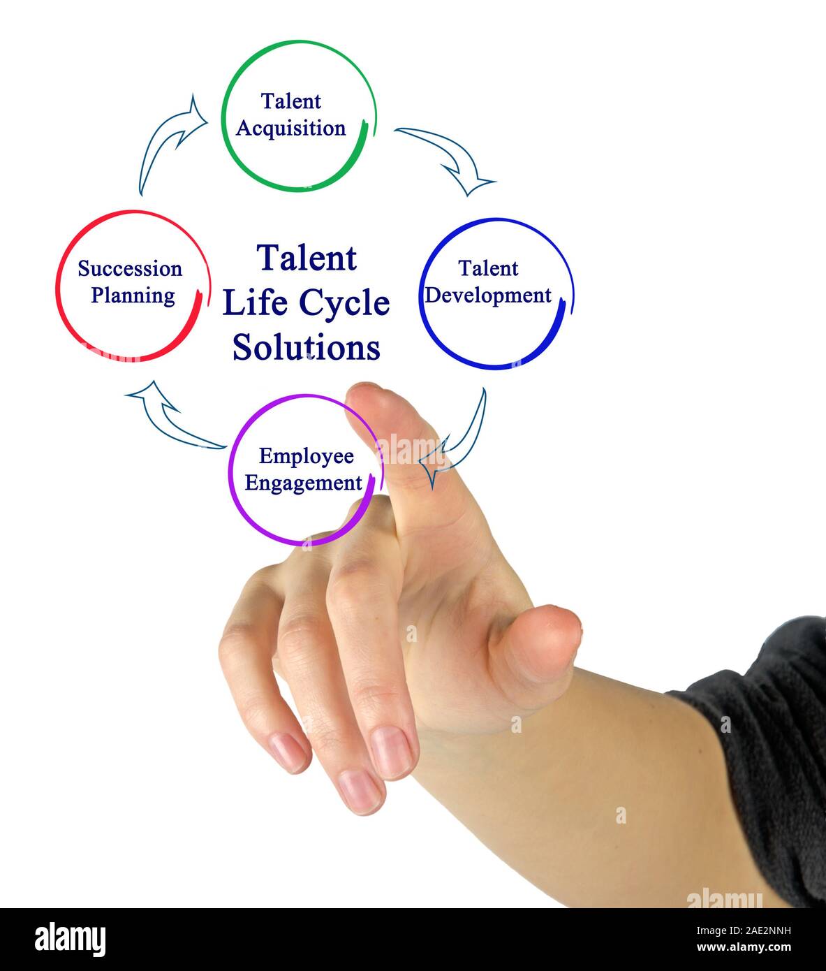 presentingTalent Life Cycle Solutions Stock Photo - Alamy