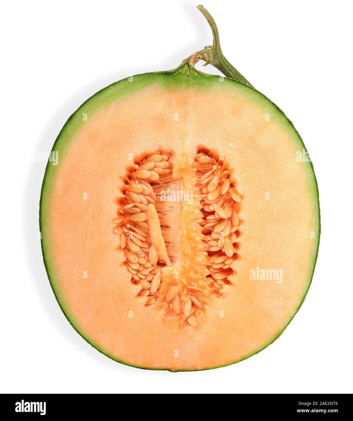 Top view half of melon isolated on white background Stock Photo - Alamy