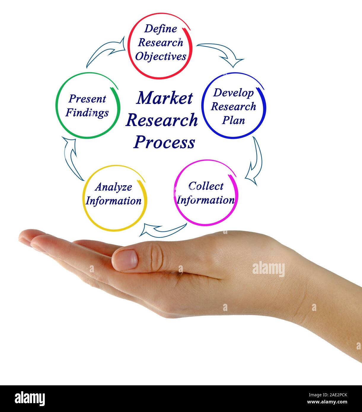 Market Research Process