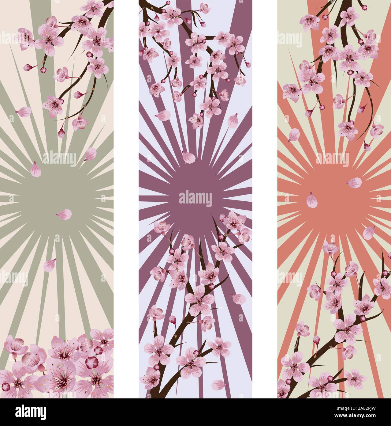 Spring themed banner with Sakura, cherry blossoms Stock Vector Image ...