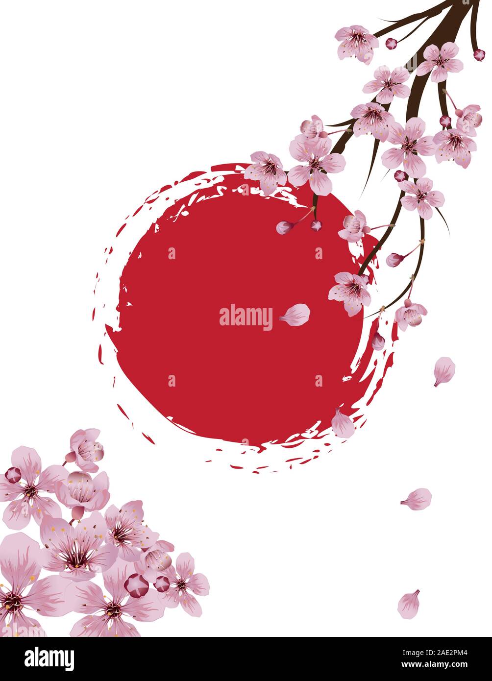 Spring themed banner with Sakura, cherry blossoms Stock Vector Image ...